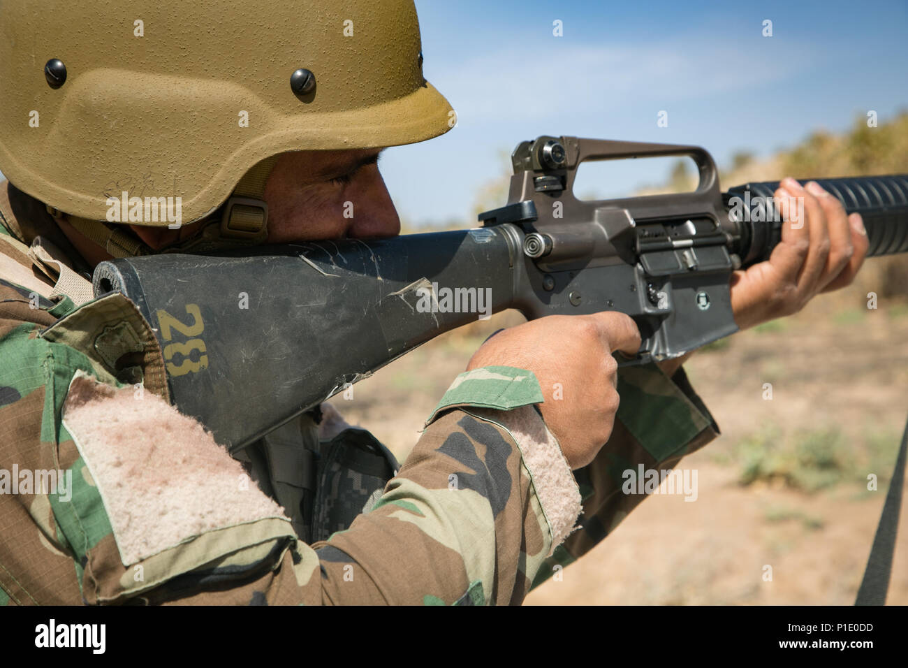 A Peshmerga soldier aims his M16 rifle during the Modern Brigade Course ...