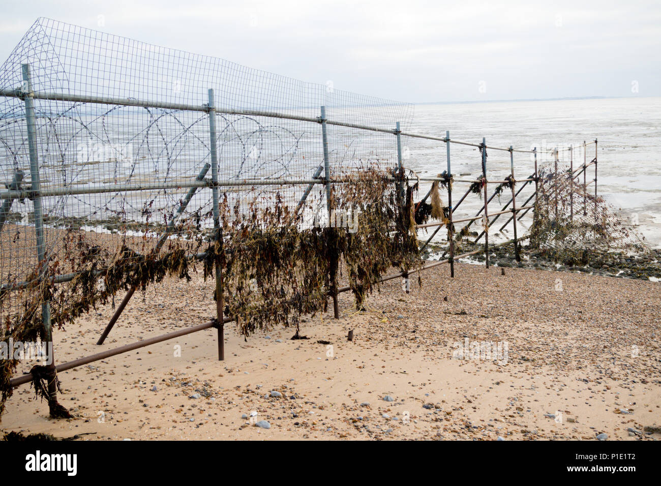 Razor wire injury hi-res stock photography and images - Alamy