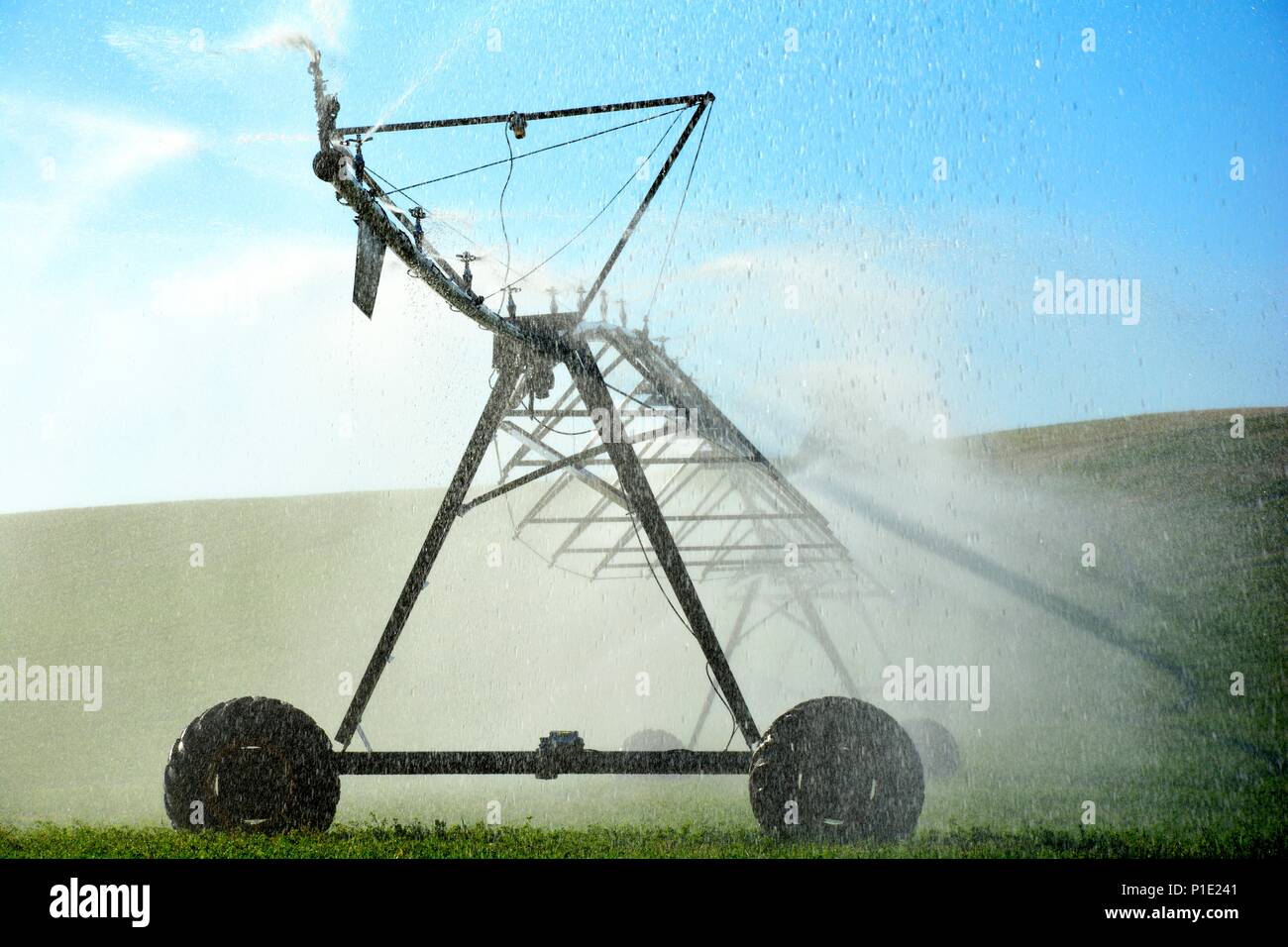 watering by spray, watering by sprinklers, sprinkling, spraying ...