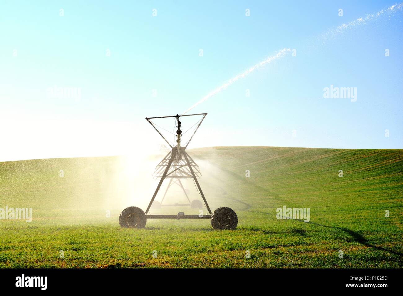 watering by spray, watering by sprinklers, sprinkling, spraying ...