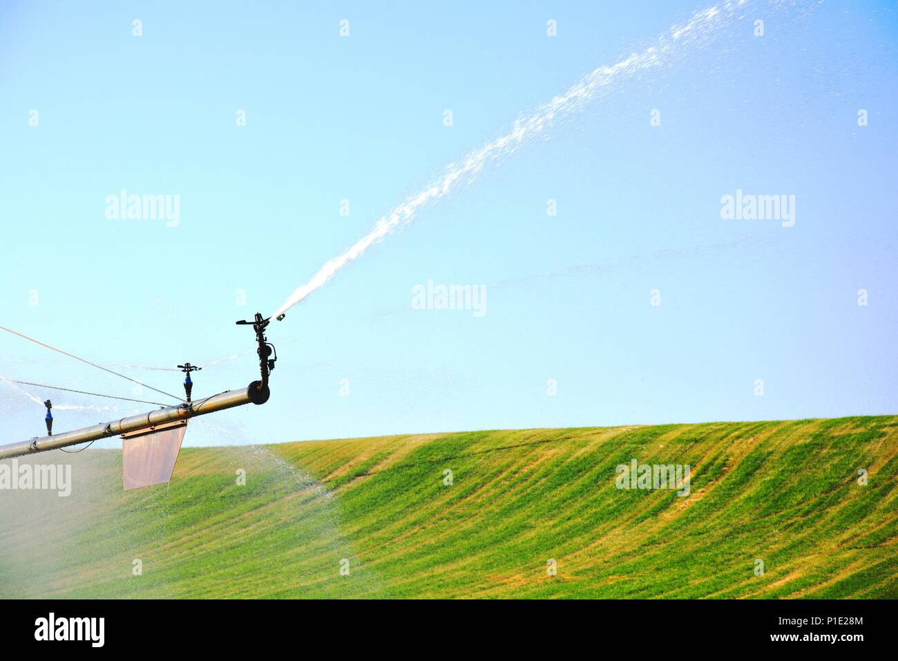 watering by spray, watering by sprinklers, sprinkling, spraying ...