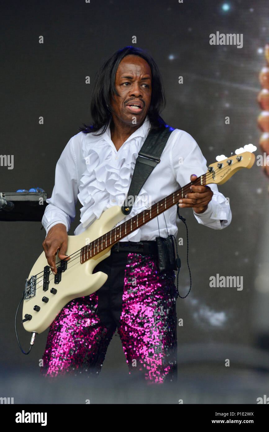 Verdine hi-res stock photography and images - Alamy