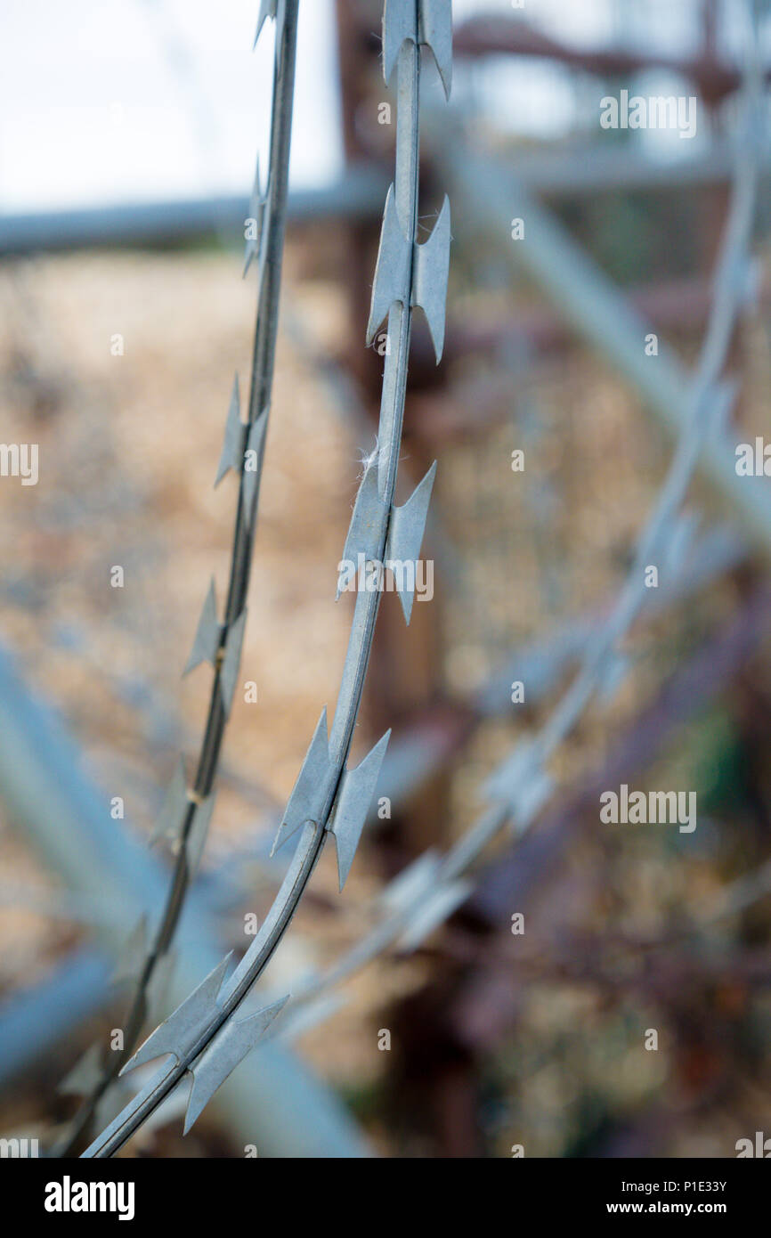 Razor wire injury hi-res stock photography and images - Alamy