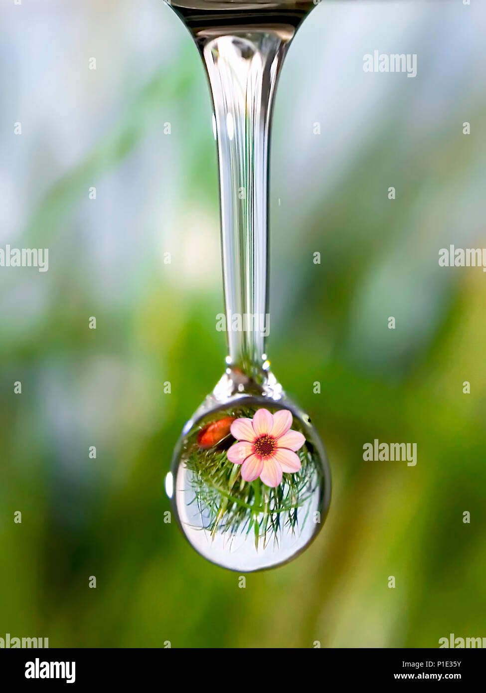 Water drop mountain hi-res stock photography and images - Alamy