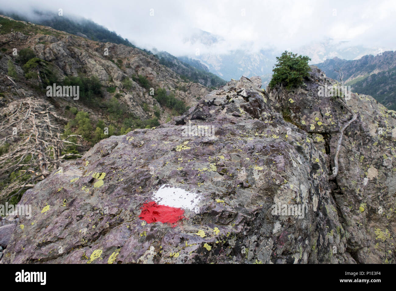 marking on a rock Stock Photo - Alamy