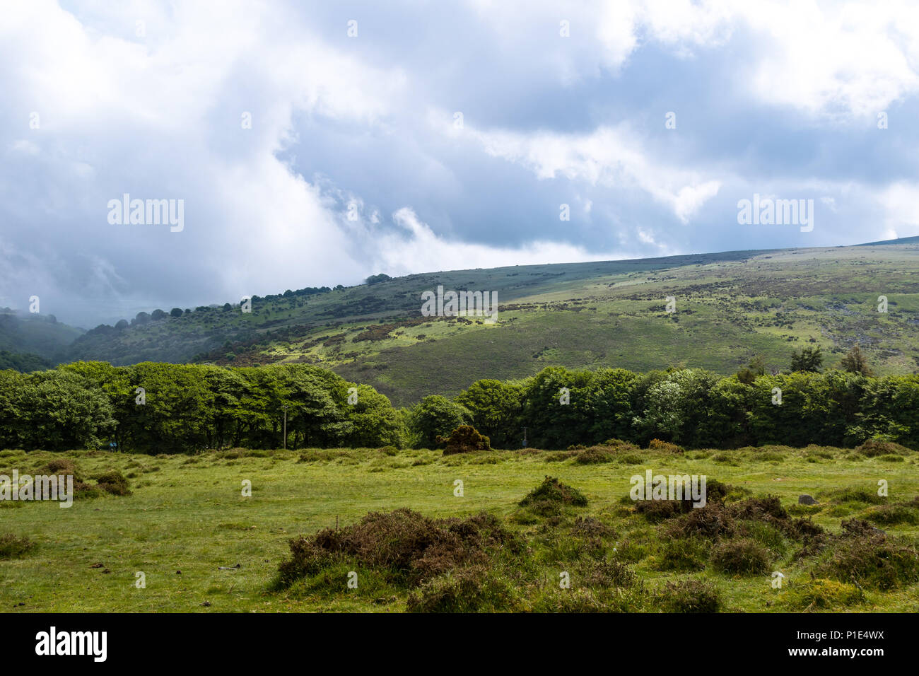 A view of the moor land of Dartmoor National Park, Devon, United ...