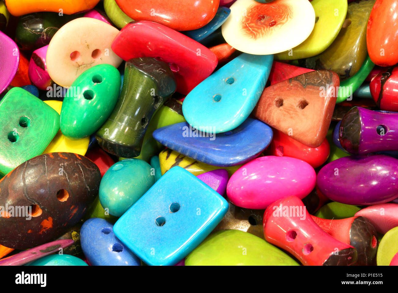 Ivory nut palm hi-res stock photography and images - Alamy