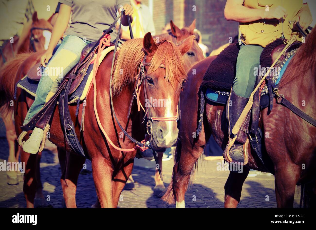 Cowboy in the stirrup of the horse with vintage effect Stock Photo - Alamy