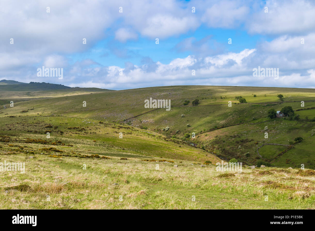 A view of the moor land of Dartmoor National Park, Devon, United ...