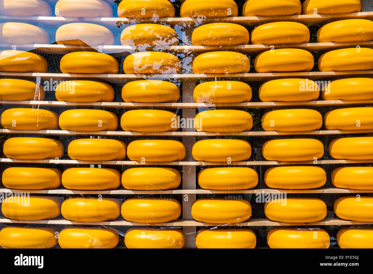 Traditional Dutch cheeses on display for sale. edam netherlands Stock ...