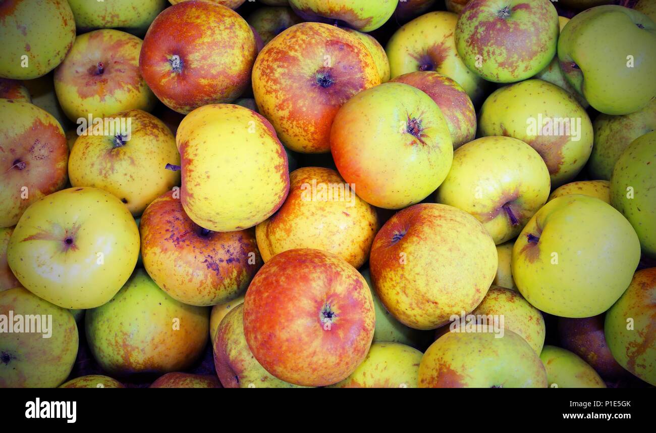 green organic apples for sale at fruit market with vintage effect Stock ...