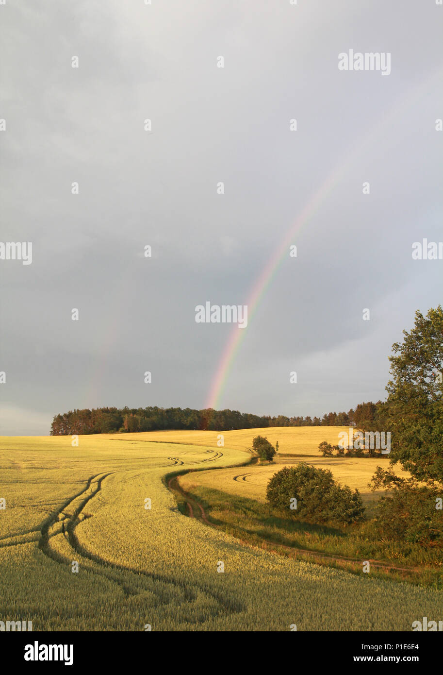 Rainbow over a cornfield hi-res stock photography and images - Alamy
