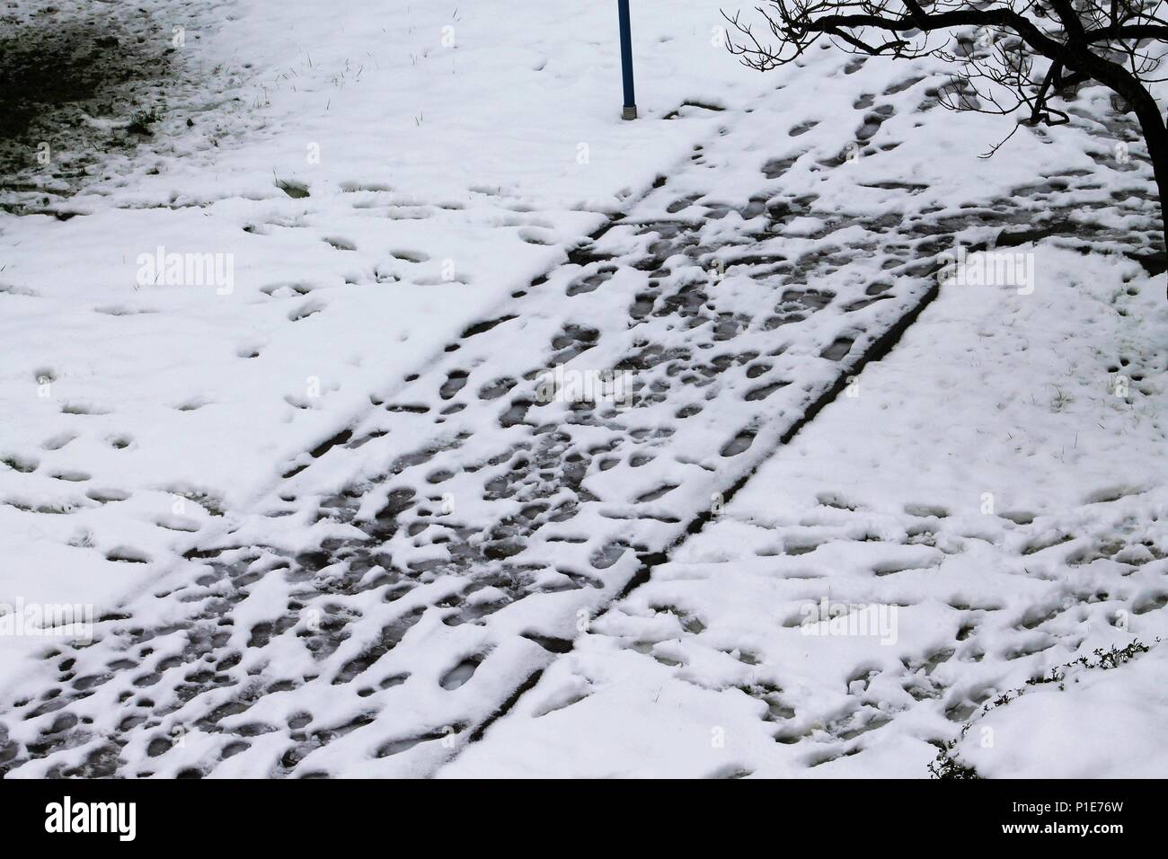footprints on a path in park covered with snow Stock Photo - Alamy