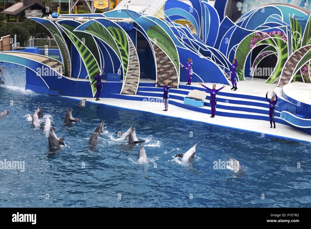 Show Dolphins High Resolution Stock Photography and Images - Alamy