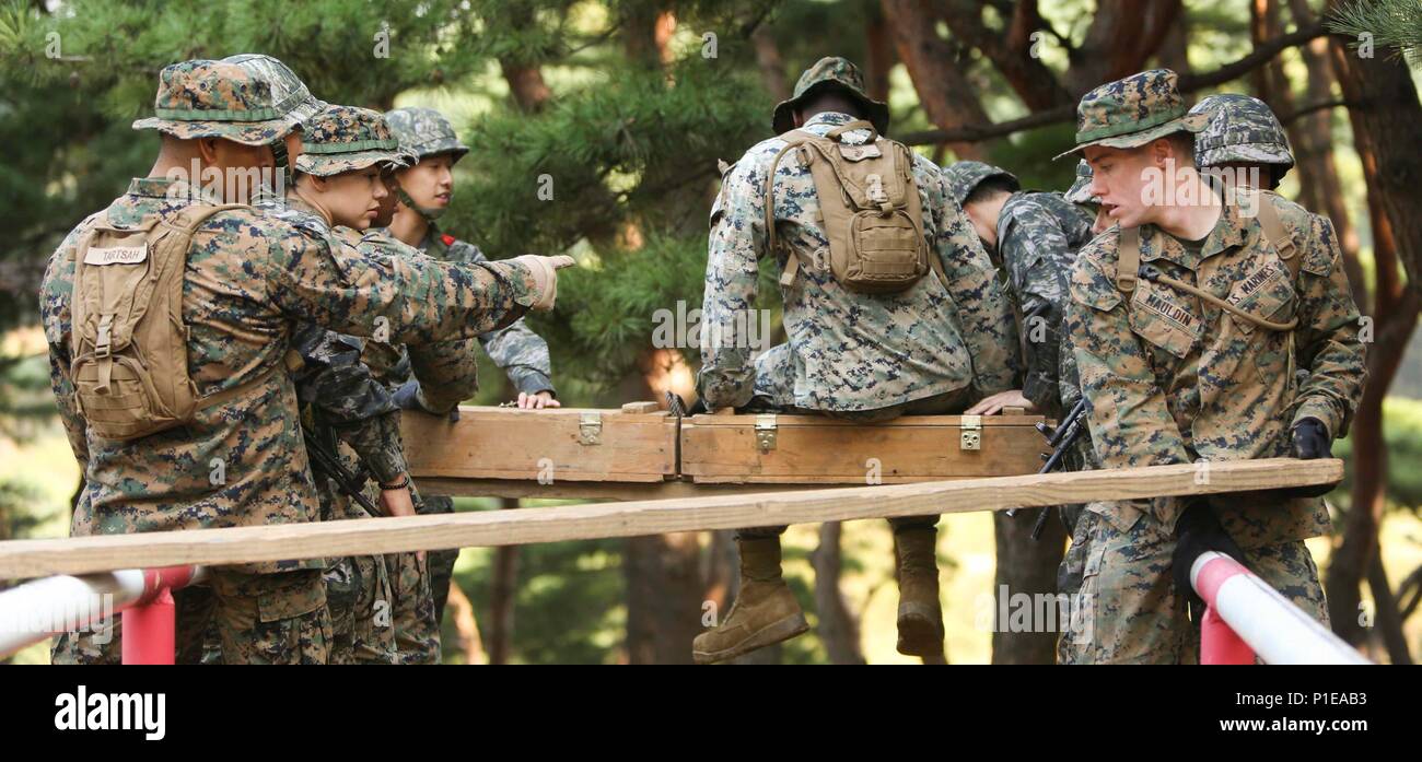 U.S. Marines with Combat Logistics Regiment 3, 3d Marine Logistics ...
