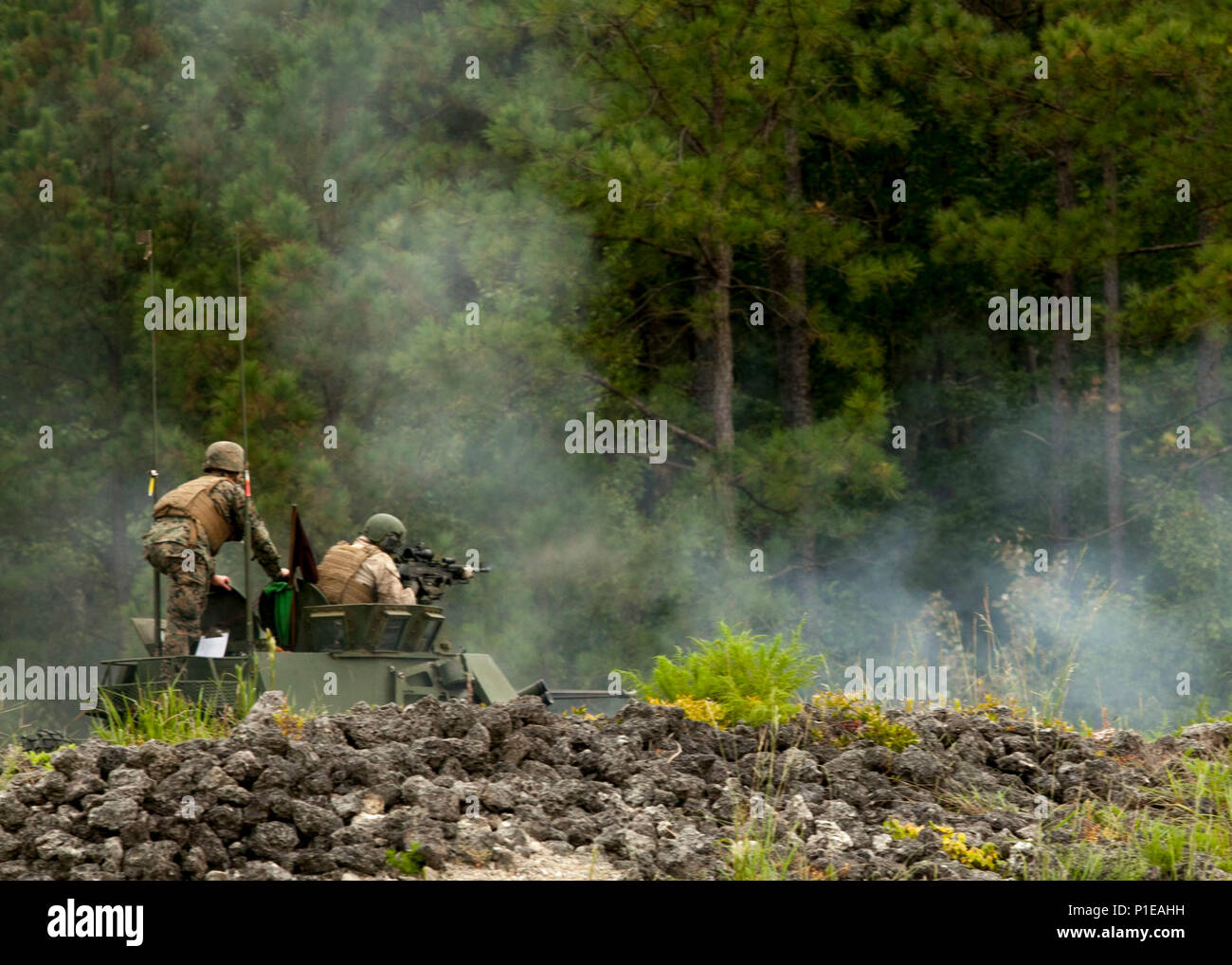 U.S. Marines with 3rd Light Armored Reconnaissance Battalion (3d LAR Bn ...