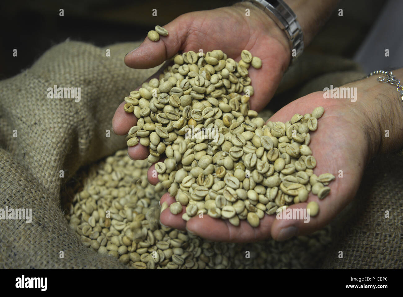 fresh coffee beans on a juta textile bag composition Stock Photo - Alamy