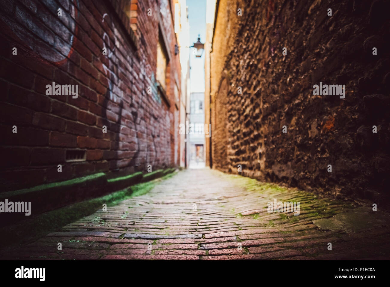Narrow Alley, Brighton, England Stock Photo - Alamy