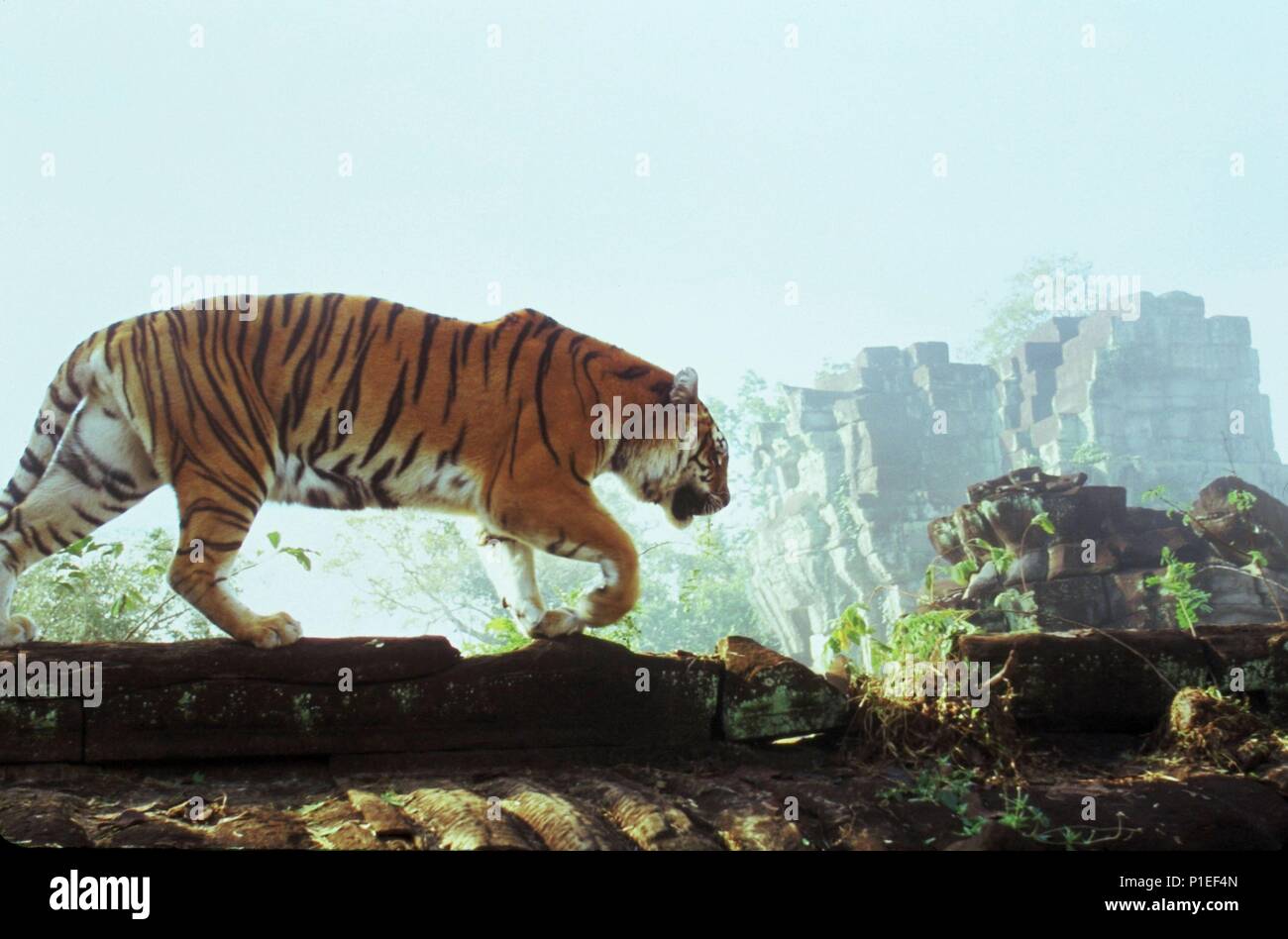 Two brothers 2004 hi-res stock photography and images - Alamy