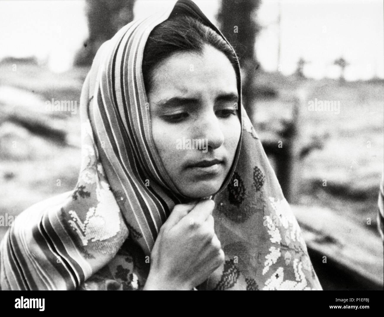El norte gregory nava hi-res stock photography and images - Alamy