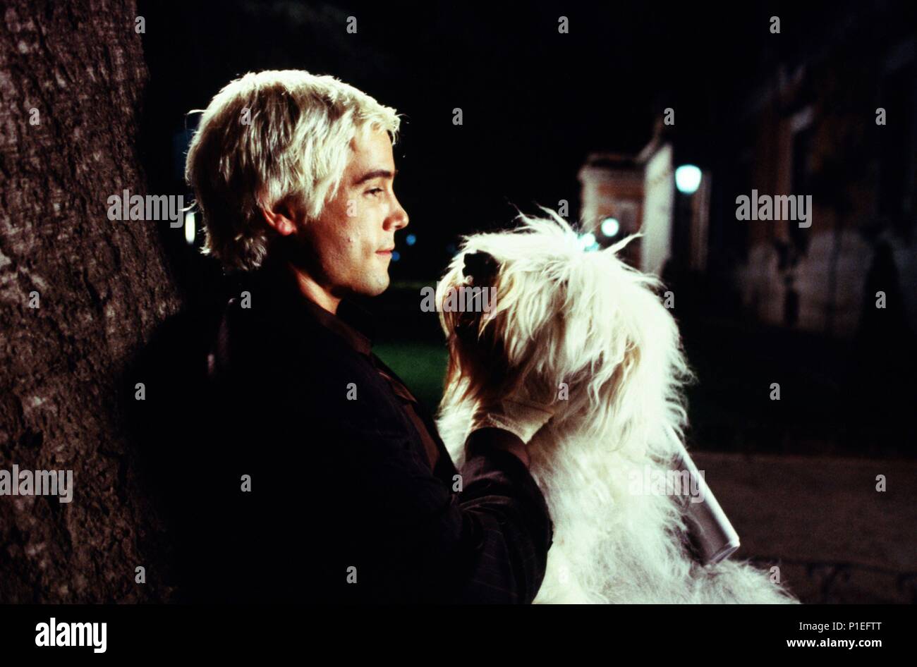 Reinas hi-res stock photography and images - Alamy