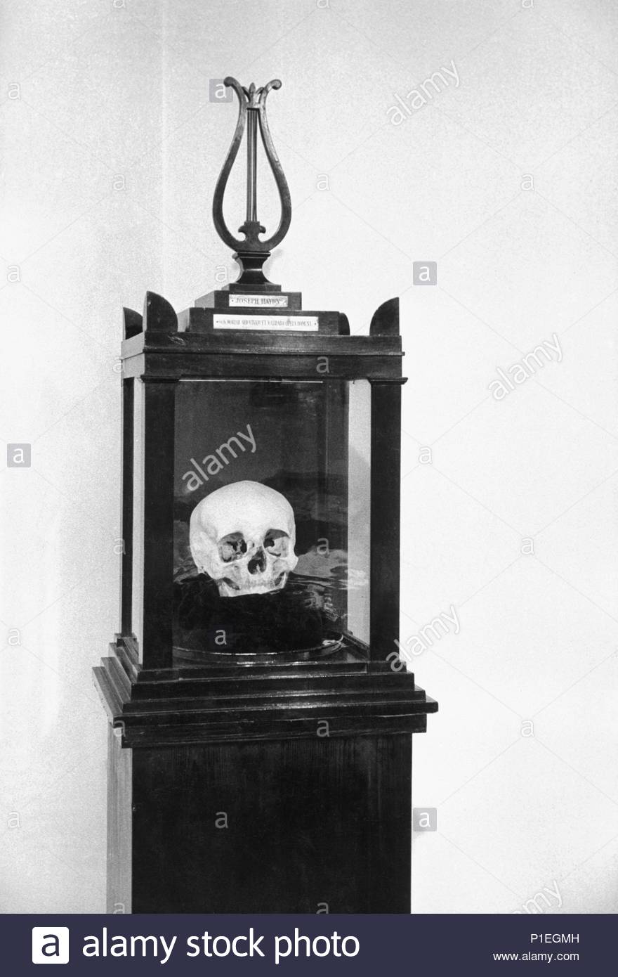 Phrenology Black and White Stock Photos & Images - Alamy