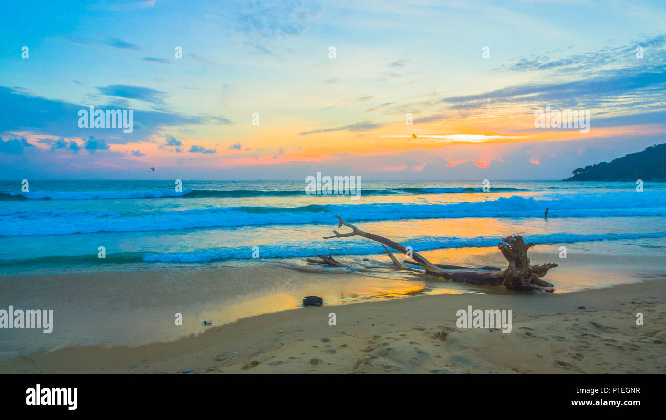 The big dead tree was shattered by the waves on Karon beach Stock Photo ...