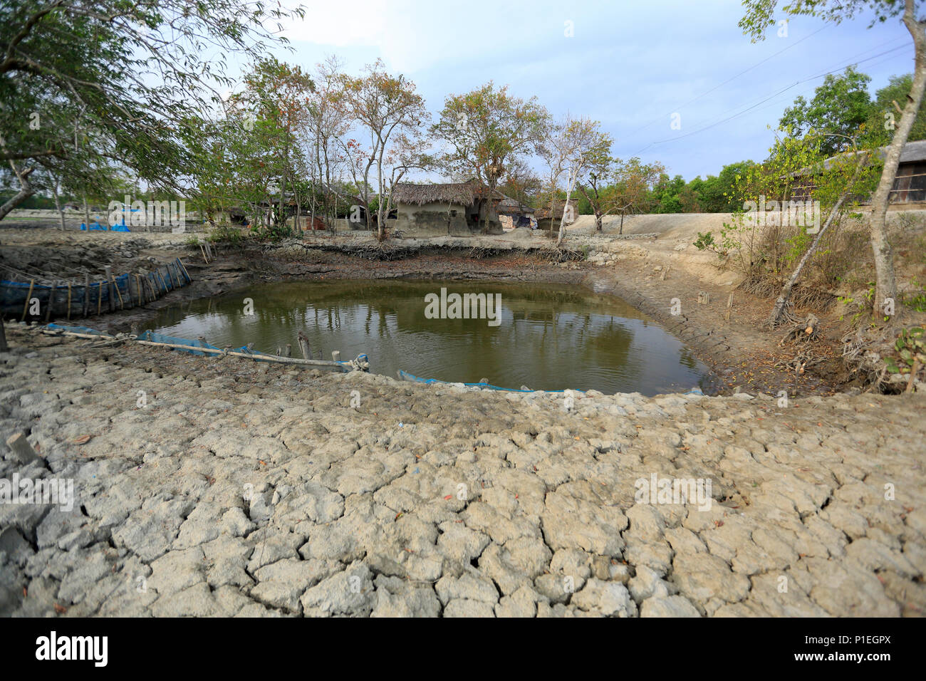 Shyamnagar gabura hi-res stock photography and images - Alamy