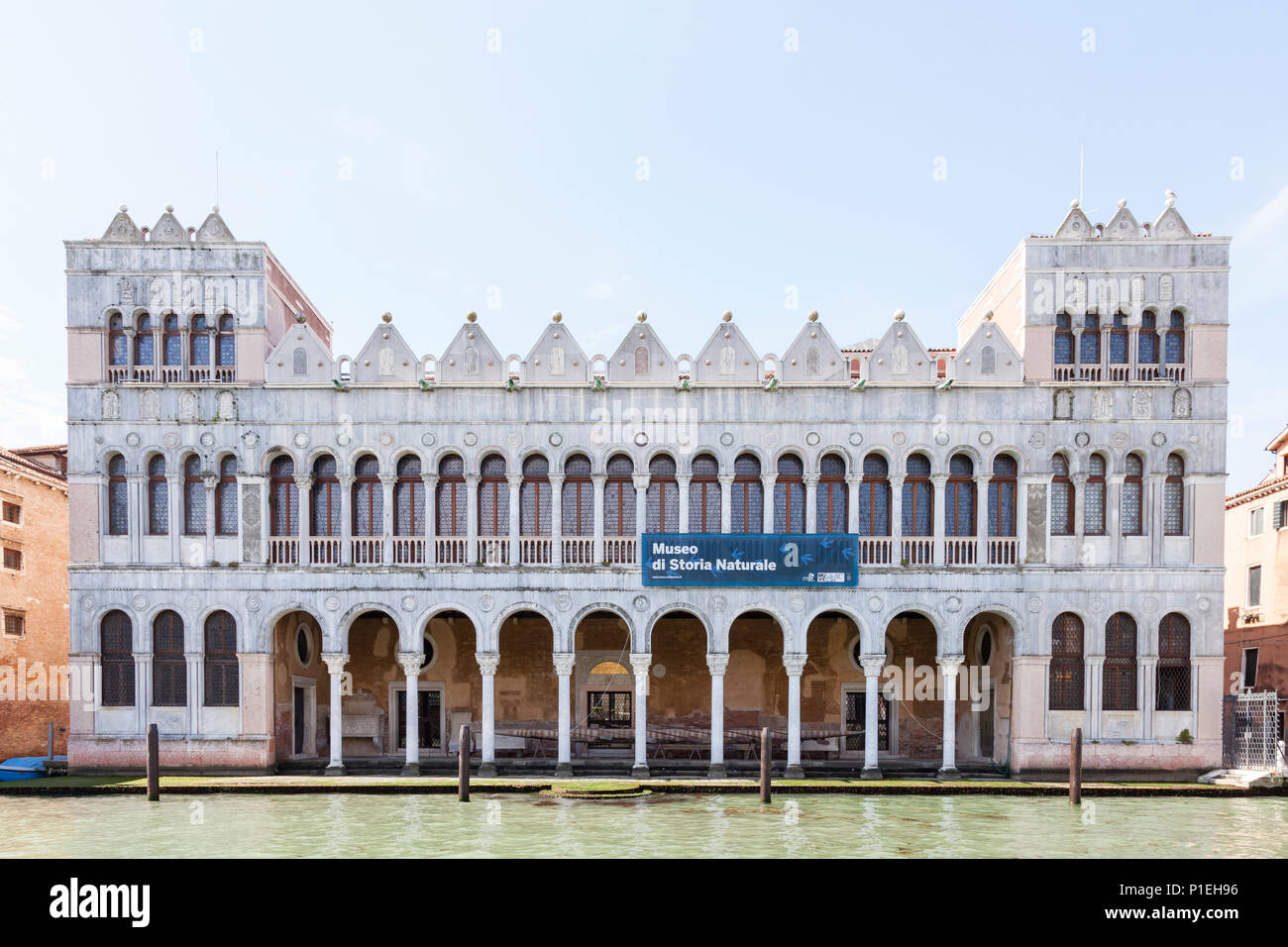 The Venice Natural History Museum in Fondaco dei Turchi, Grand Canal ...