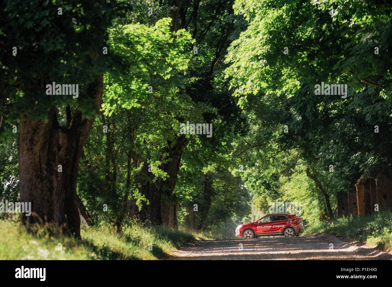 Futuristic forest hi-res stock photography and images - Alamy