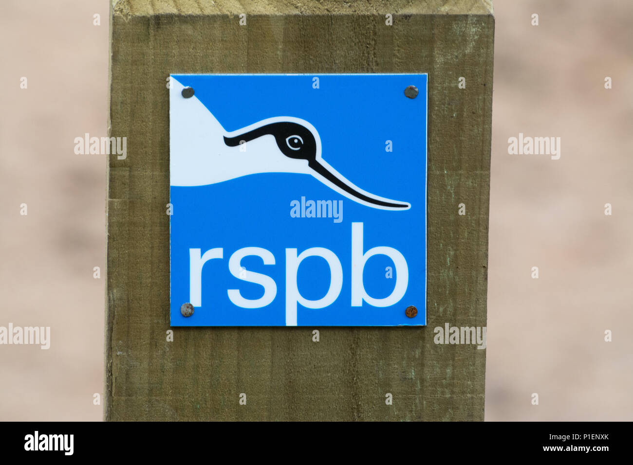 Rspb logo hi-res stock photography and images - Alamy