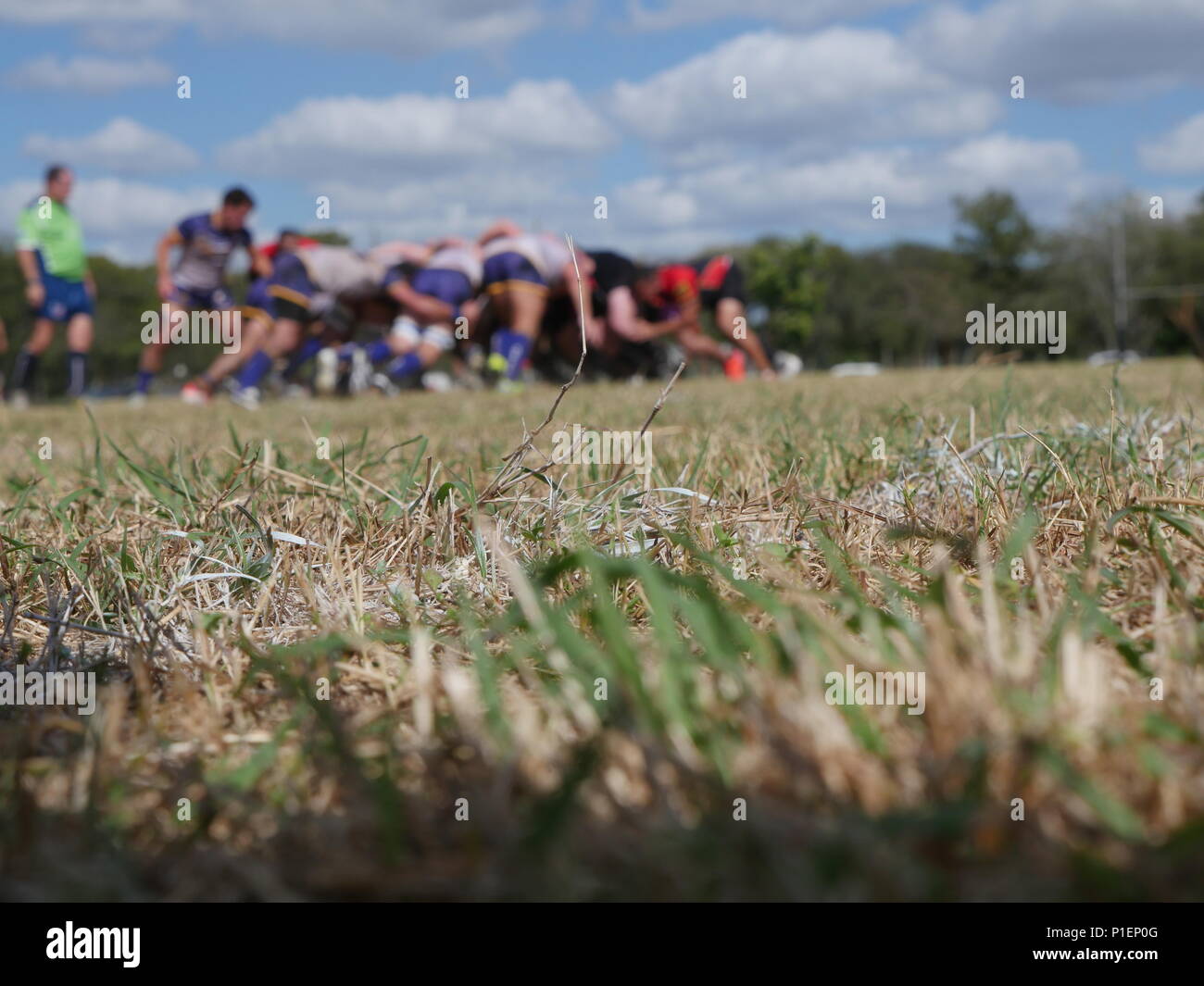 Team doctors sports hi-res stock photography and images - Alamy