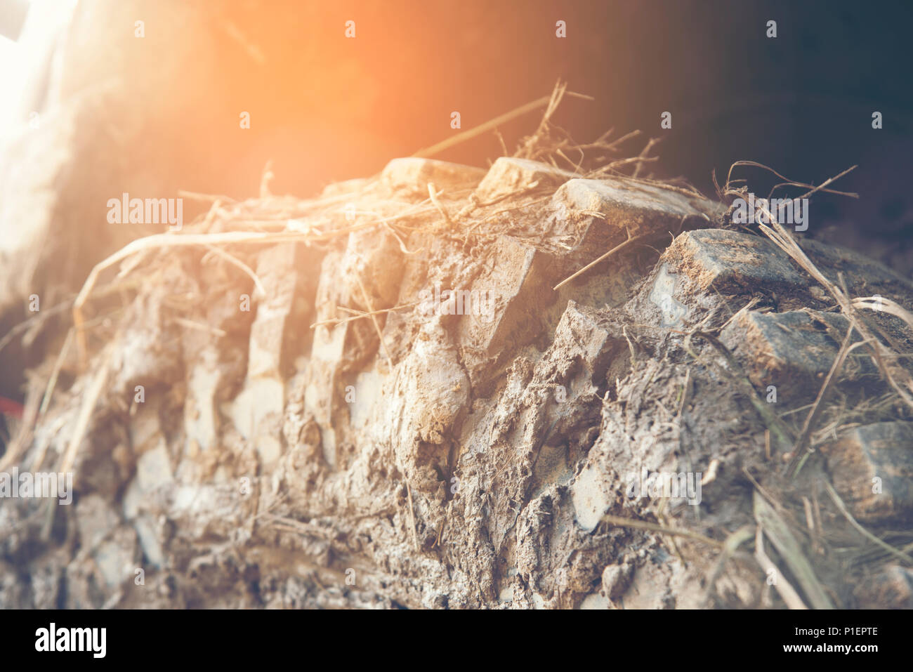 Rash Driving High Resolution Stock Photography and Images - Alamy