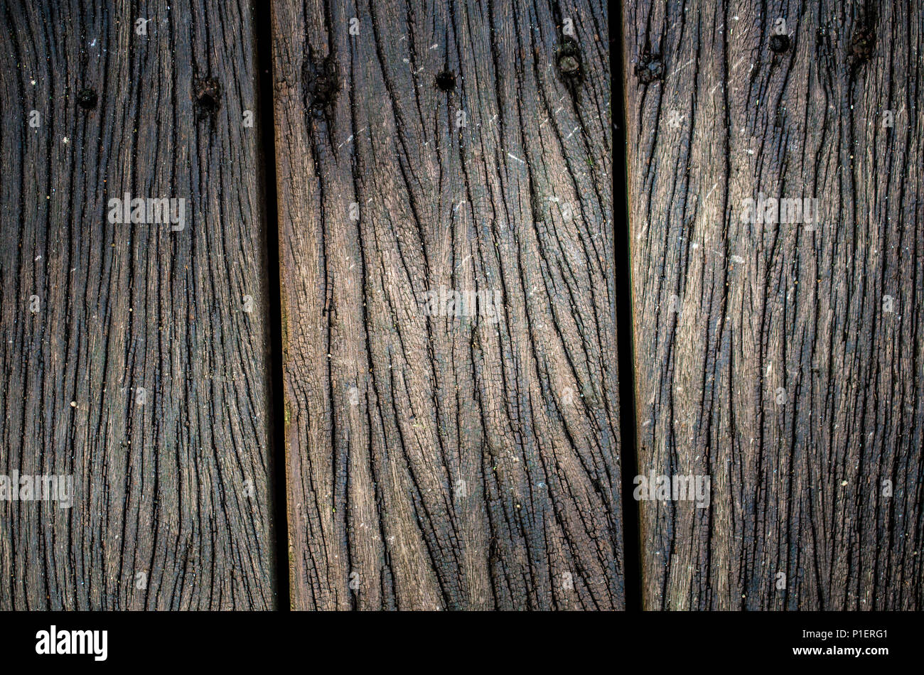 beautiful wood background from the old palm tree , concept, background ...