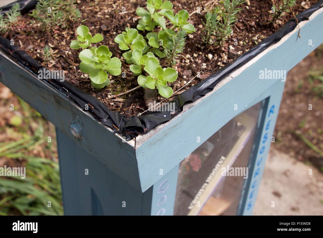 Philadelphia, PA, USA - June 7, 2018; This Little Free Library, in ...