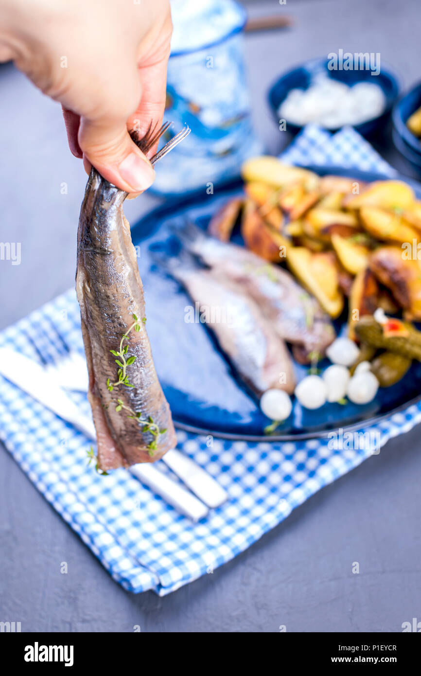 Herring fillets in a female hand, baked in the oven potatoes and ...