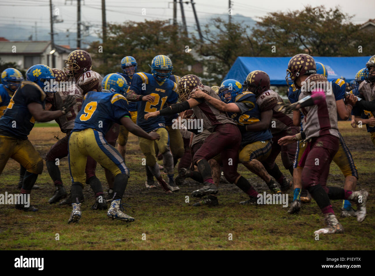 The Matthew C. Perry High School Samurai football team runs the ball ...