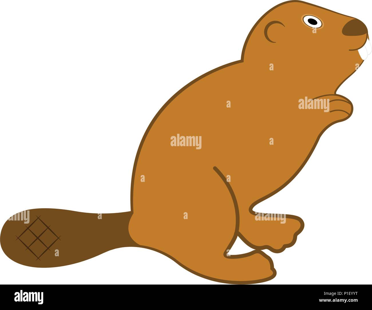Isolated beaver icon Stock Vector Image & Art - Alamy