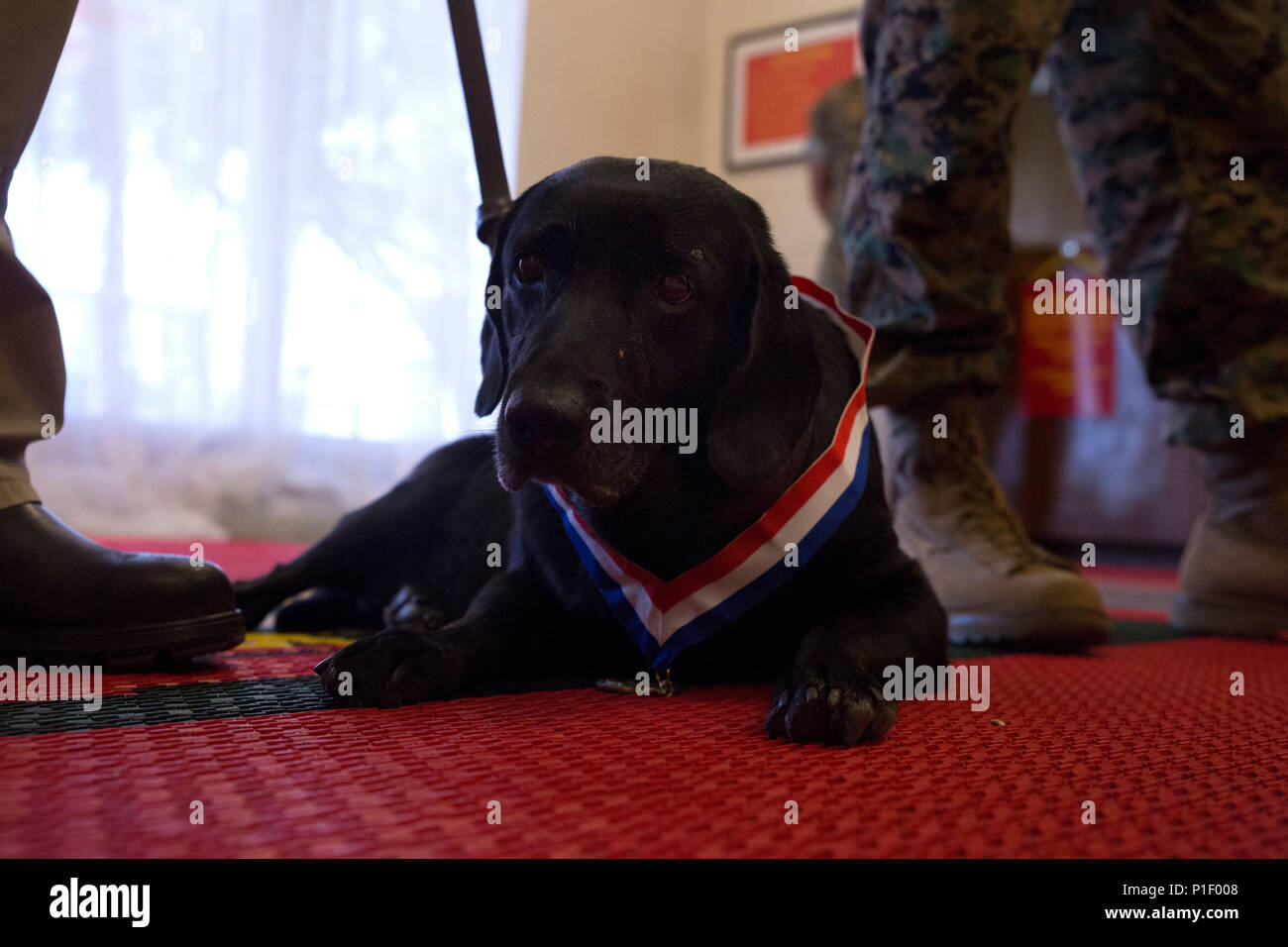 Patti sports a medal presented during an award ceremony in her honor ...