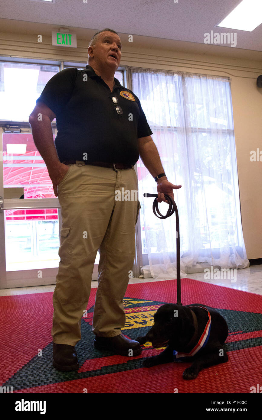 James Altman delivers a speech about the unbreakable bond between dogs ...