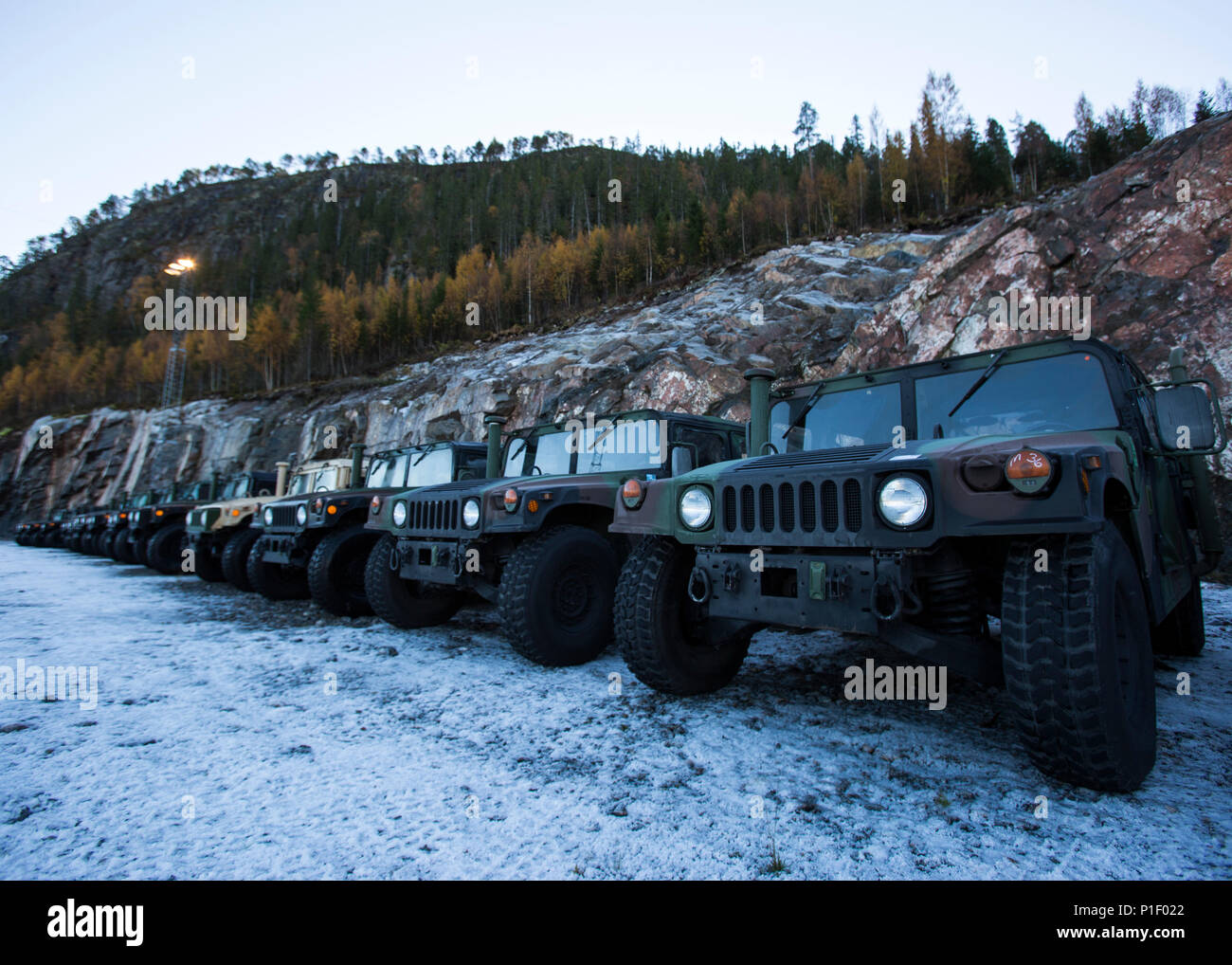 U.S. Marines with the Black Sea Rotational Force prepare equipment from ...