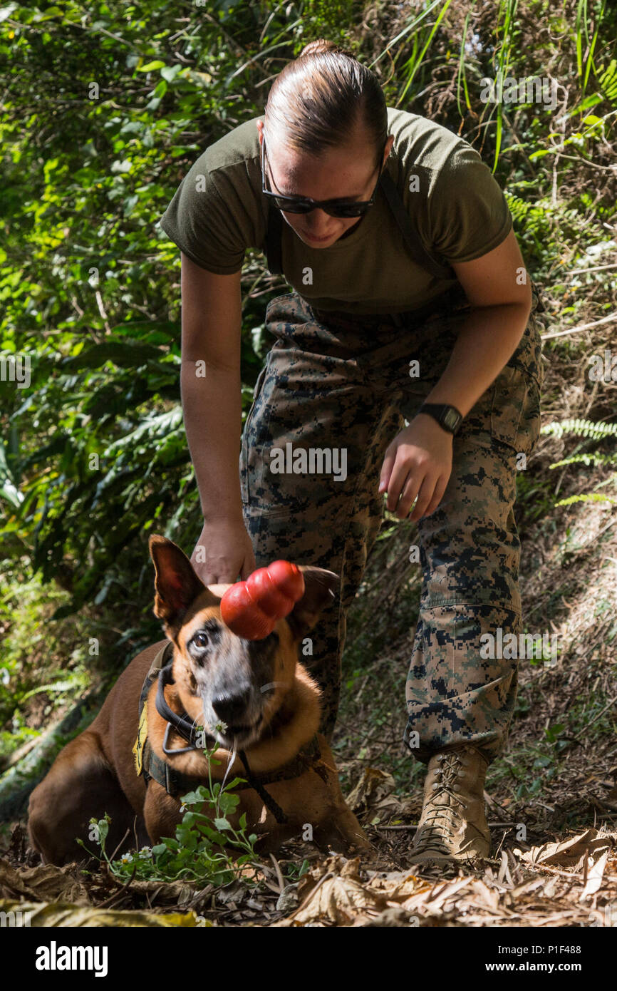 U.S. Marine Cpl. Jenna Cauble, dog handler, with Provost Marshalls ...
