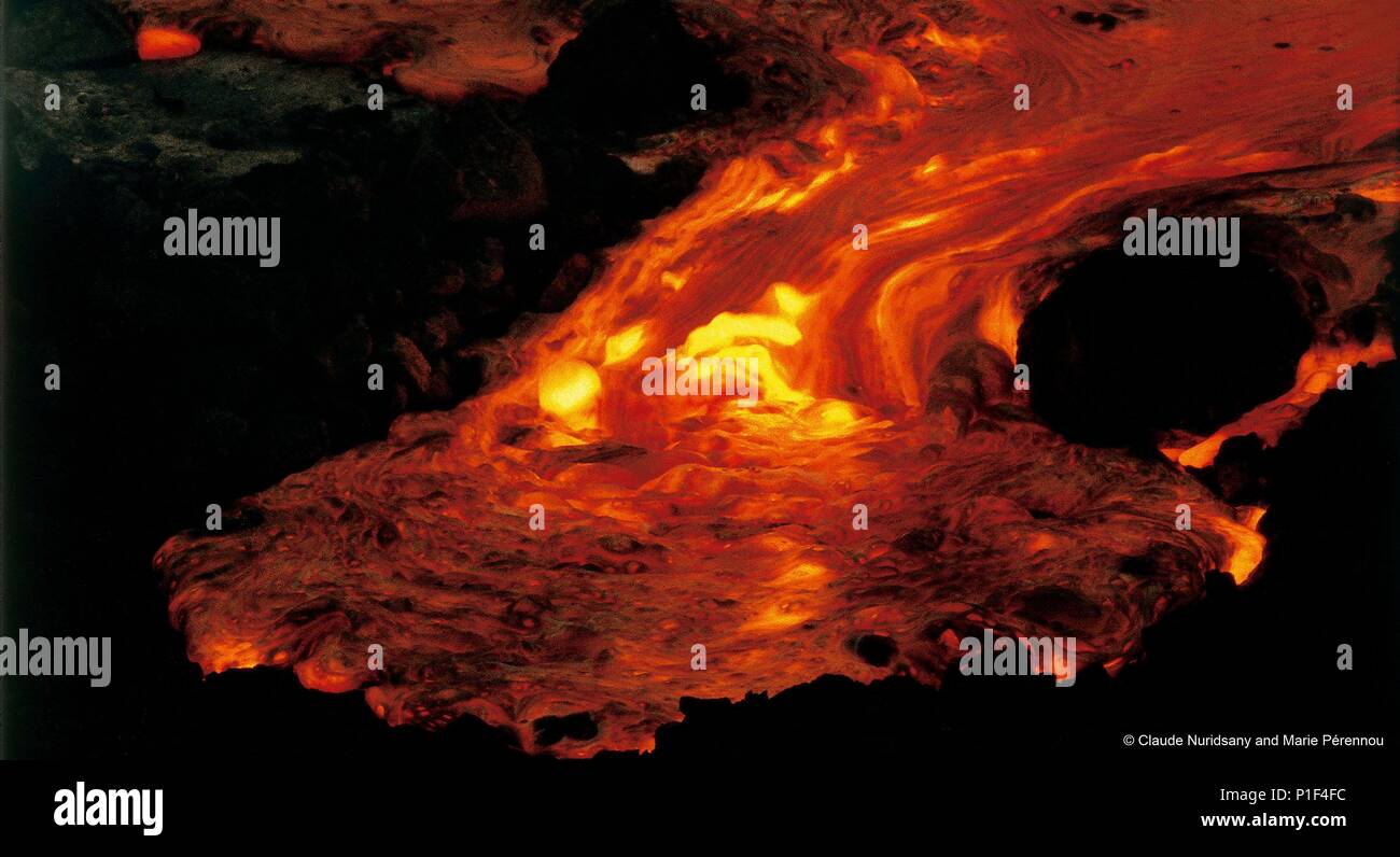 Original Film Title: GENESIS. English Title: GENESIS. Film Director ...