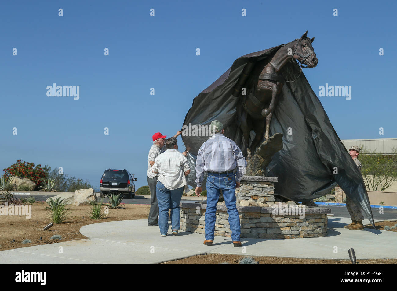 U.S. Marine Corps veterans help unveil a statue of Staff Sgt. Reckless ...