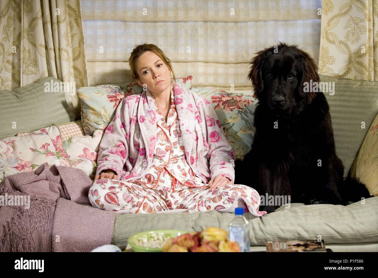 Sleeping dog diane hi-res stock photography and images - Alamy