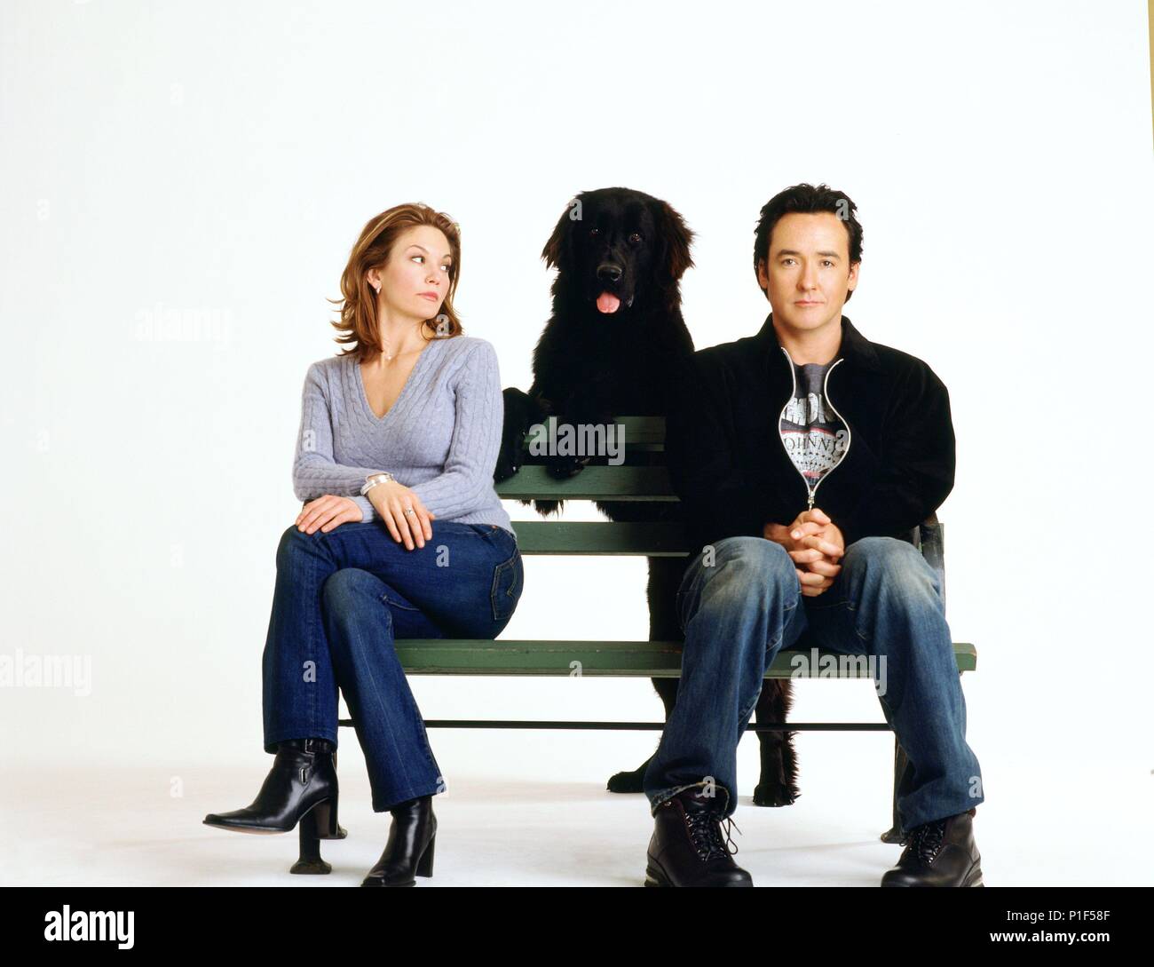 Original Film Title: MUST LOVE DOGS. English Title: MUST LOVE DOGS ...