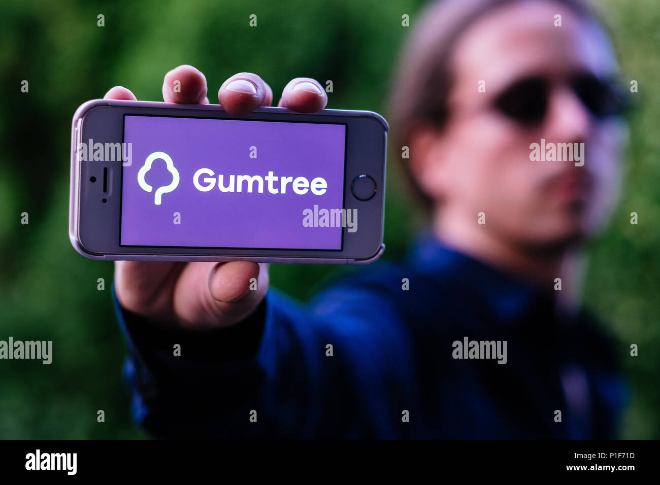 Gumtree hi-res stock photography and images - Alamy