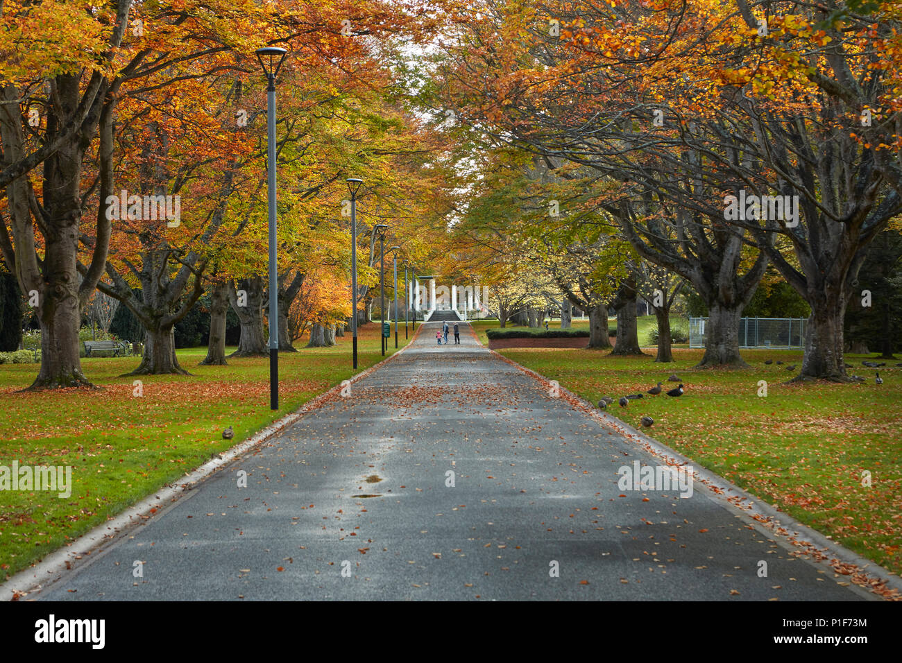 Queens park invercargill hi-res stock photography and images - Alamy