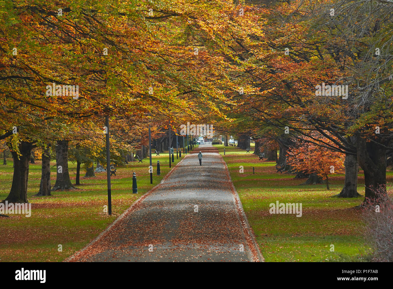 Invercargill park hi-res stock photography and images - Alamy