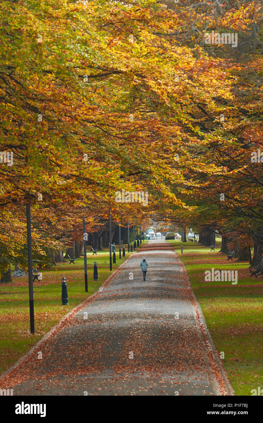 Queens Park In Invercargill High Resolution Stock Photography and ...